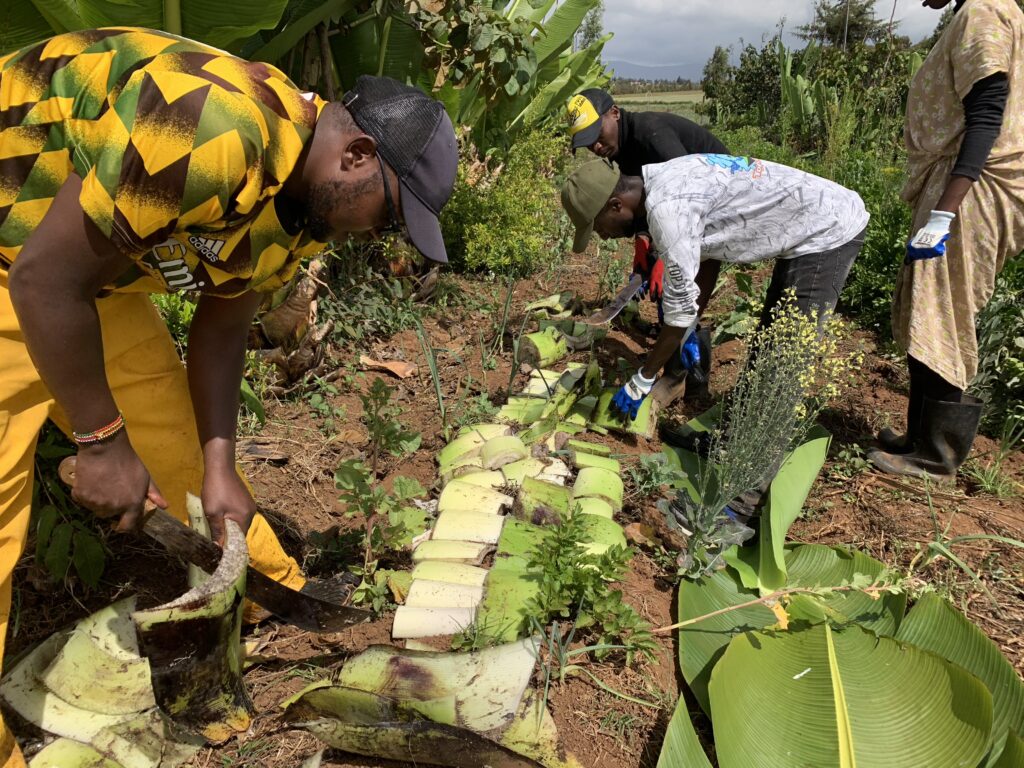 Colleague Lisa participated in Regenerative Agriculture training in ...